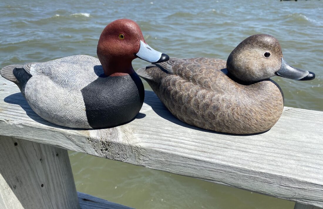 Flock together | News, Sports, Jobs - Altoona Mirror